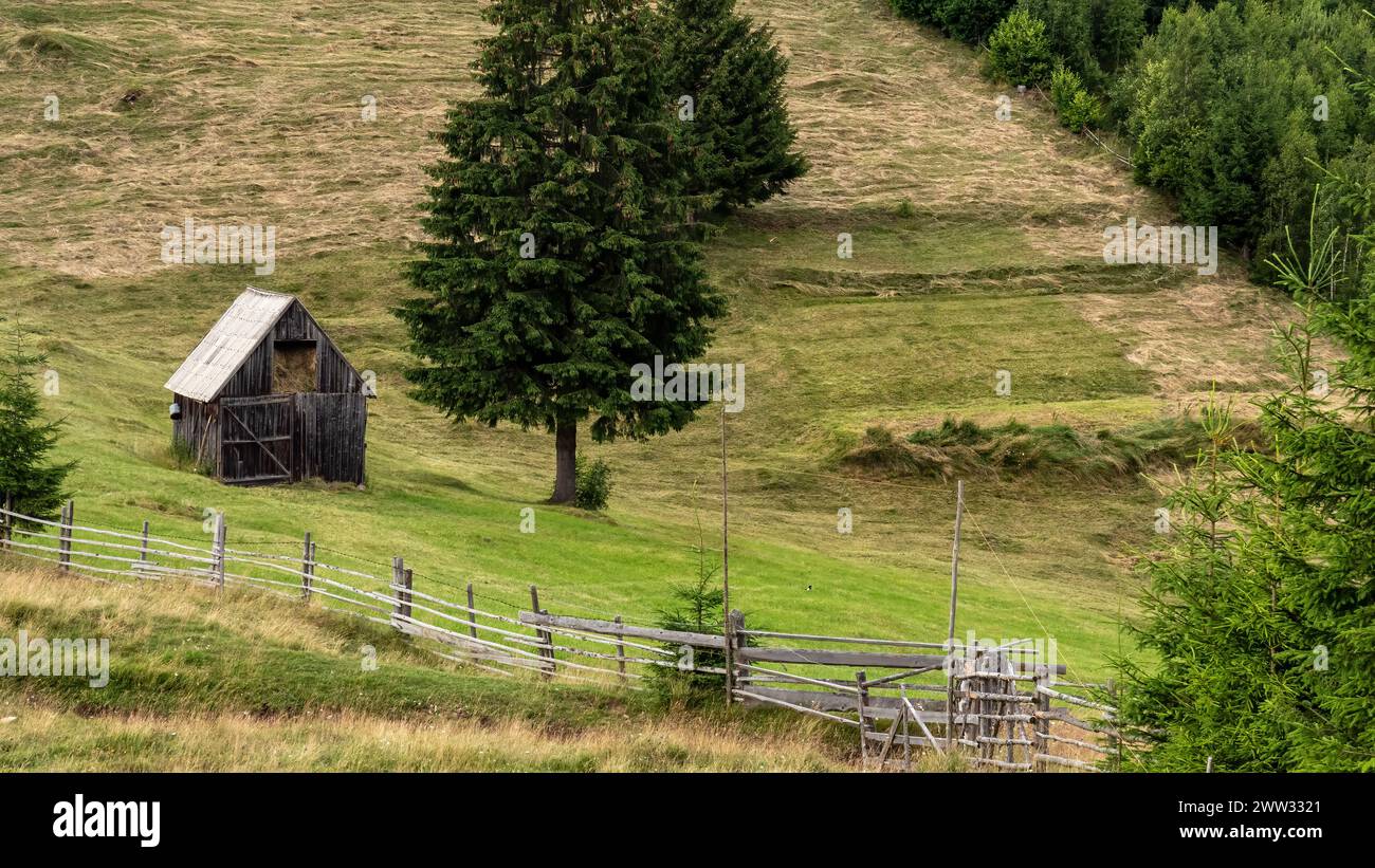 Old Farm in the carpathians of Romania Stock Photo - Alamy