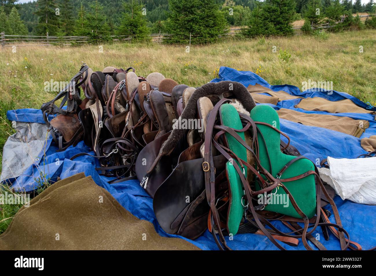 Saddle for horseback riding Stock Photo - Alamy