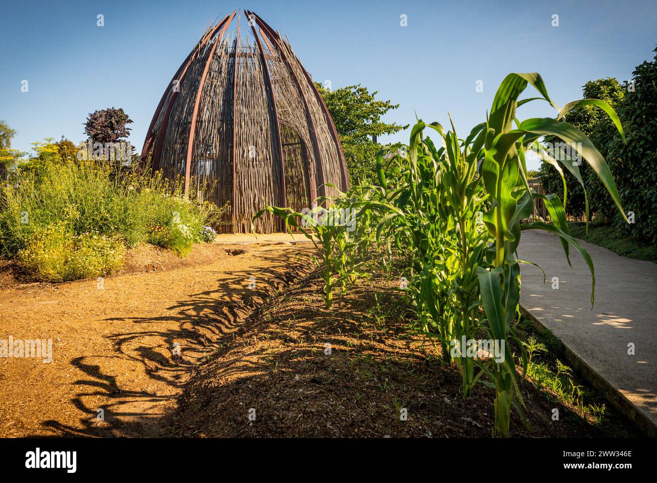 Unique wooden structure stands tall amidst a vibrant garden pathway ...