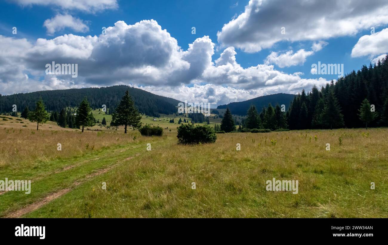 The Landscape of the Carpathian Mountains in Romania Stock Photo - Alamy