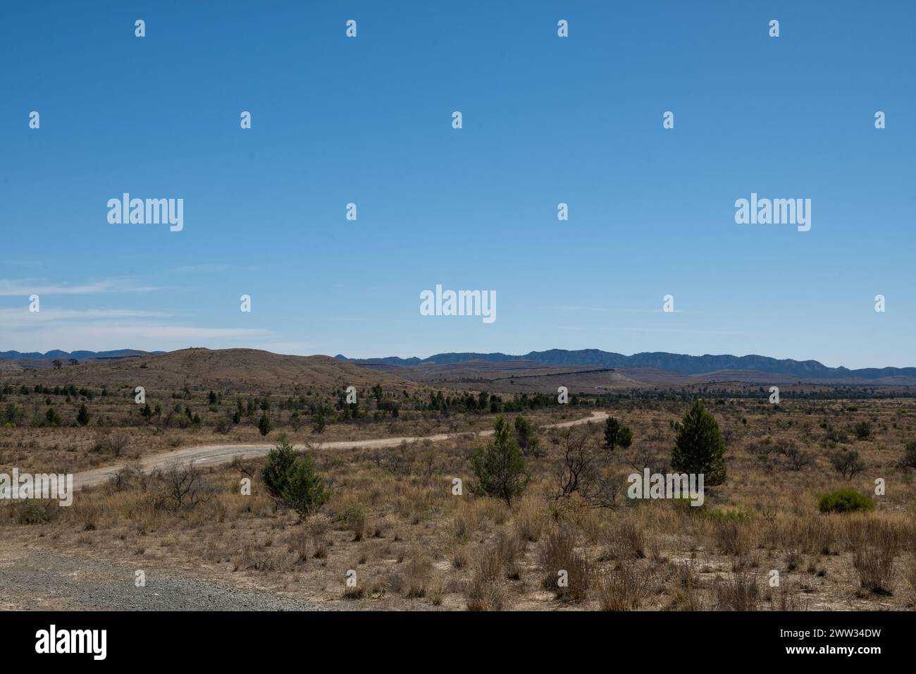 Driving on gravel path road hi-res stock photography and images - Alamy