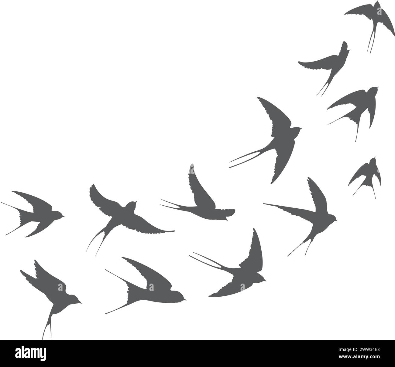 Flying swallow silhouettes. Black martin birds flock isolated on white ...