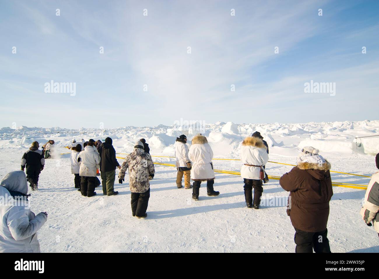 Inupiaq subsistence whalers bowhead whale catch on the pack ice during ...