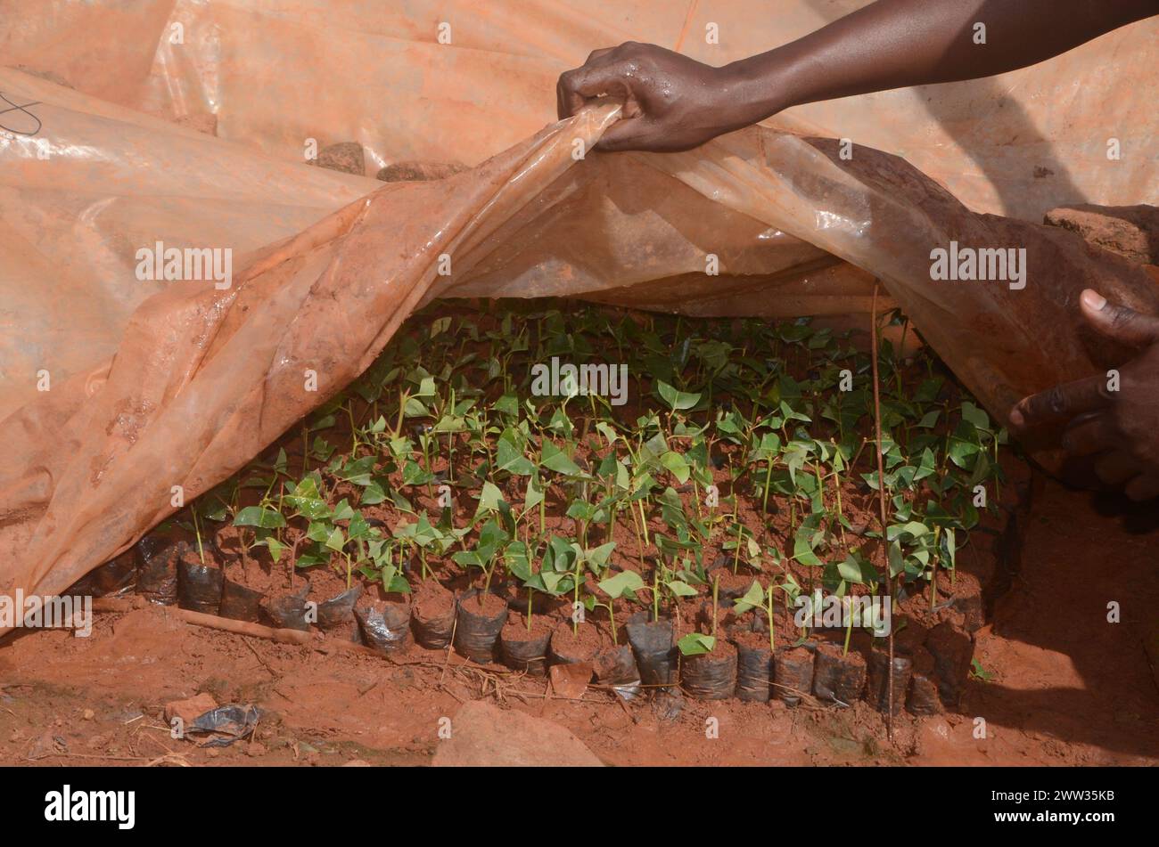 Kampala. 19th Mar, 2024. This photo taken on March 19, 2024 shows ...