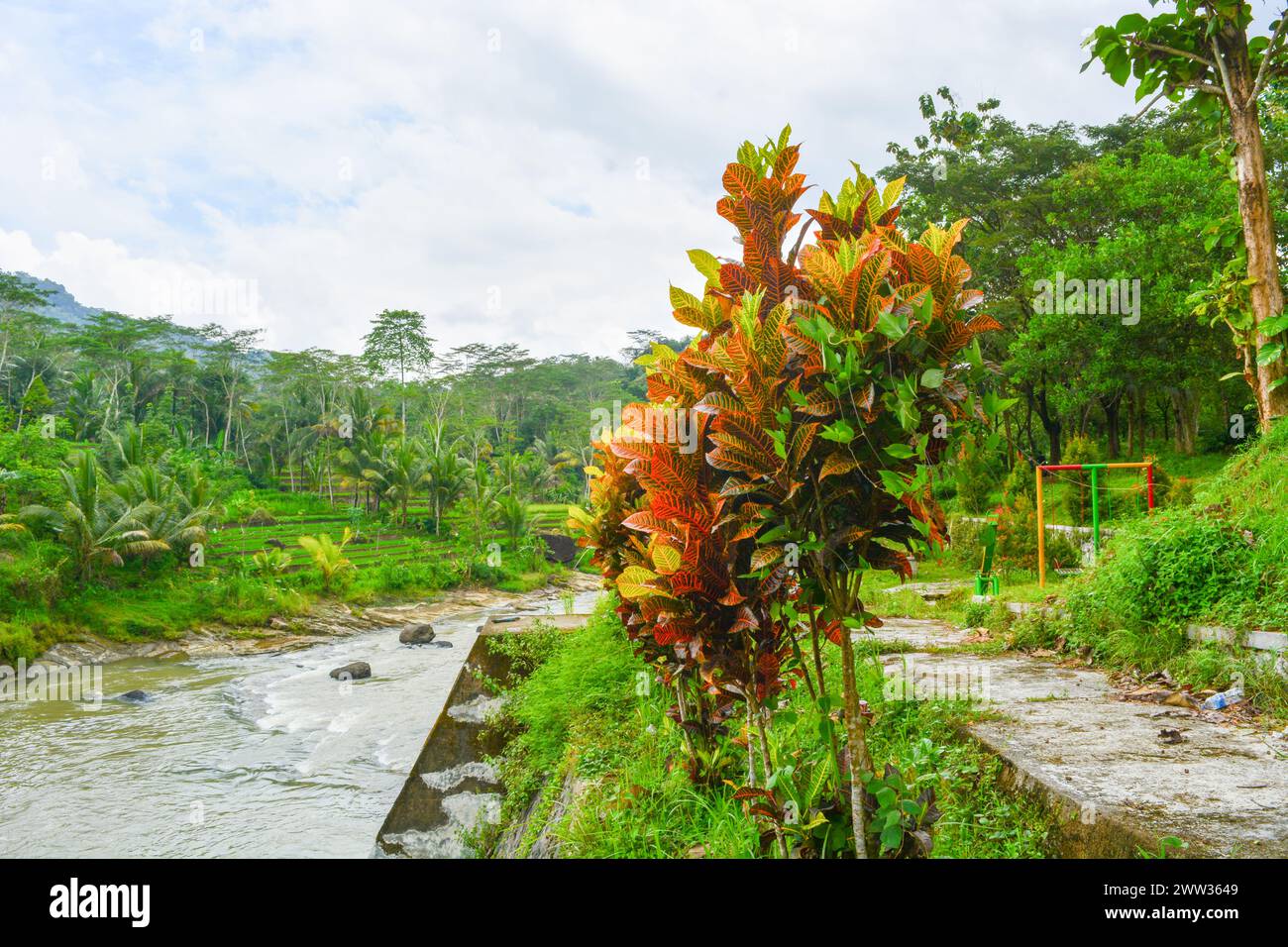 A fast-flowing stream and dramatic lenticular clouds against a dark sky ...