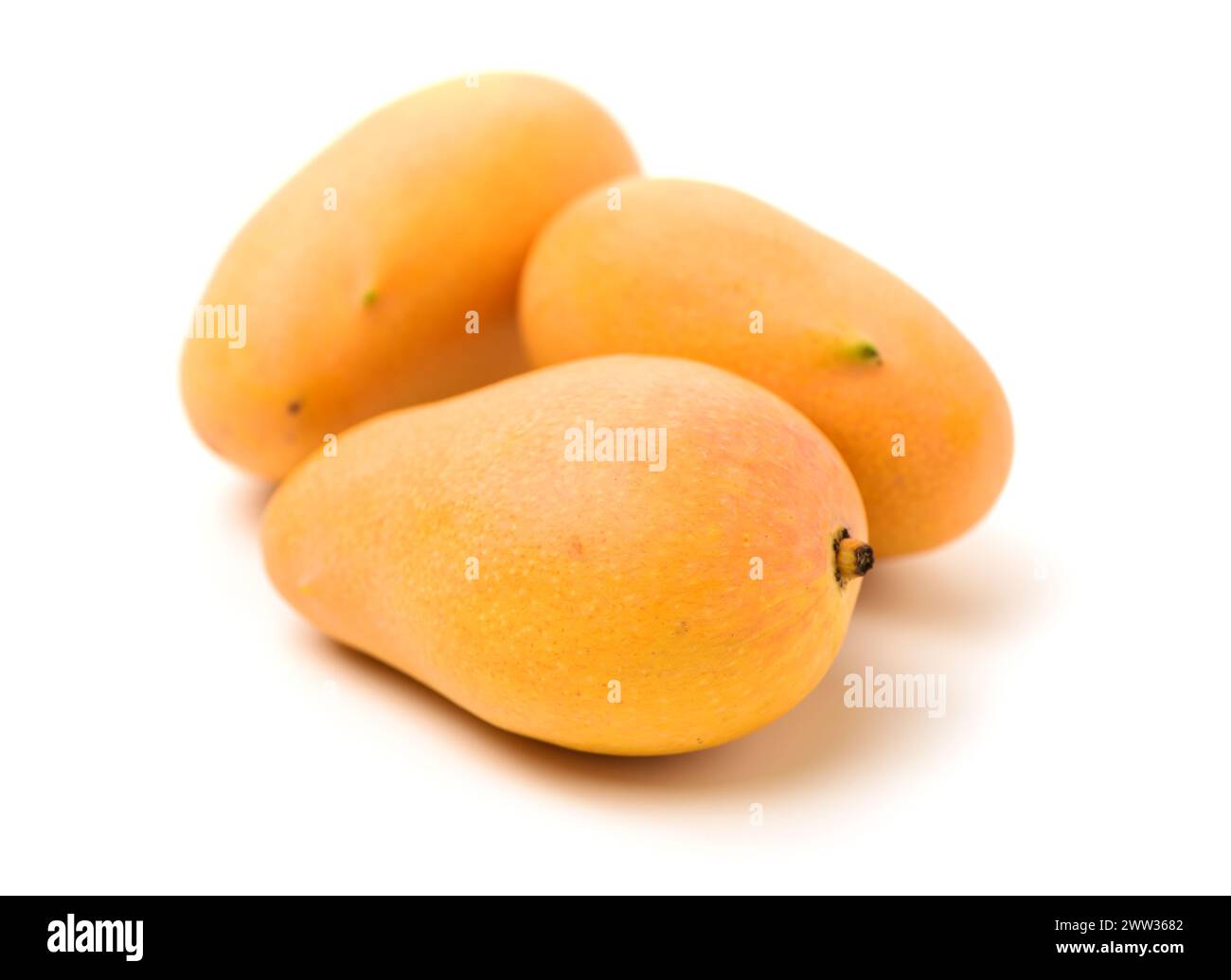 Mango on a white background Stock Photo - Alamy