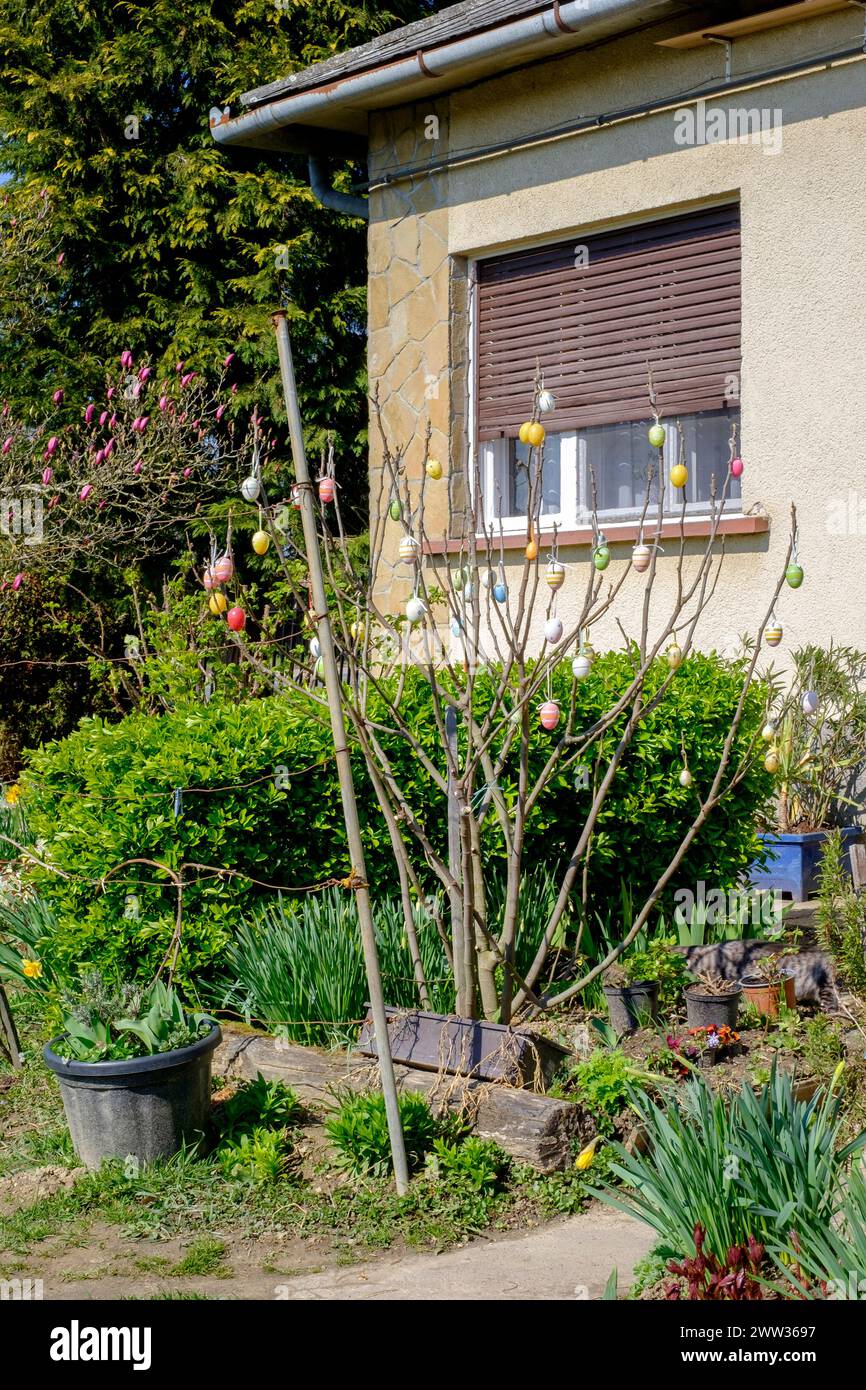 traditional hungarian easter tradition colourful decorative eggs ...