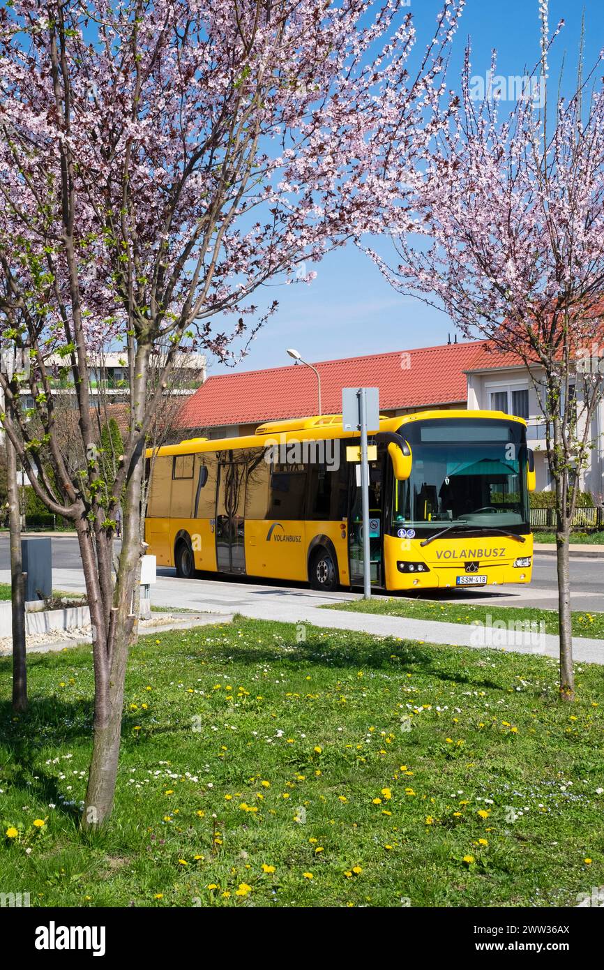 trees with blossom surround modern bus parked at the modernised bus ...