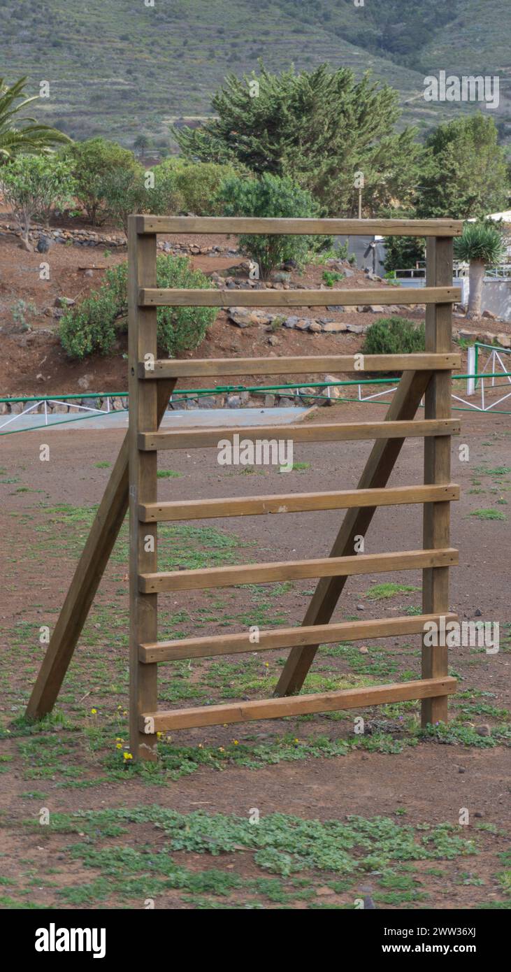 Outdoor adventure, wooden ladder climb, nature challenge, fun activity ...