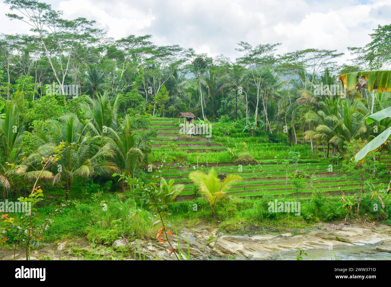 A fast-flowing stream and dramatic lenticular clouds against a dark sky ...