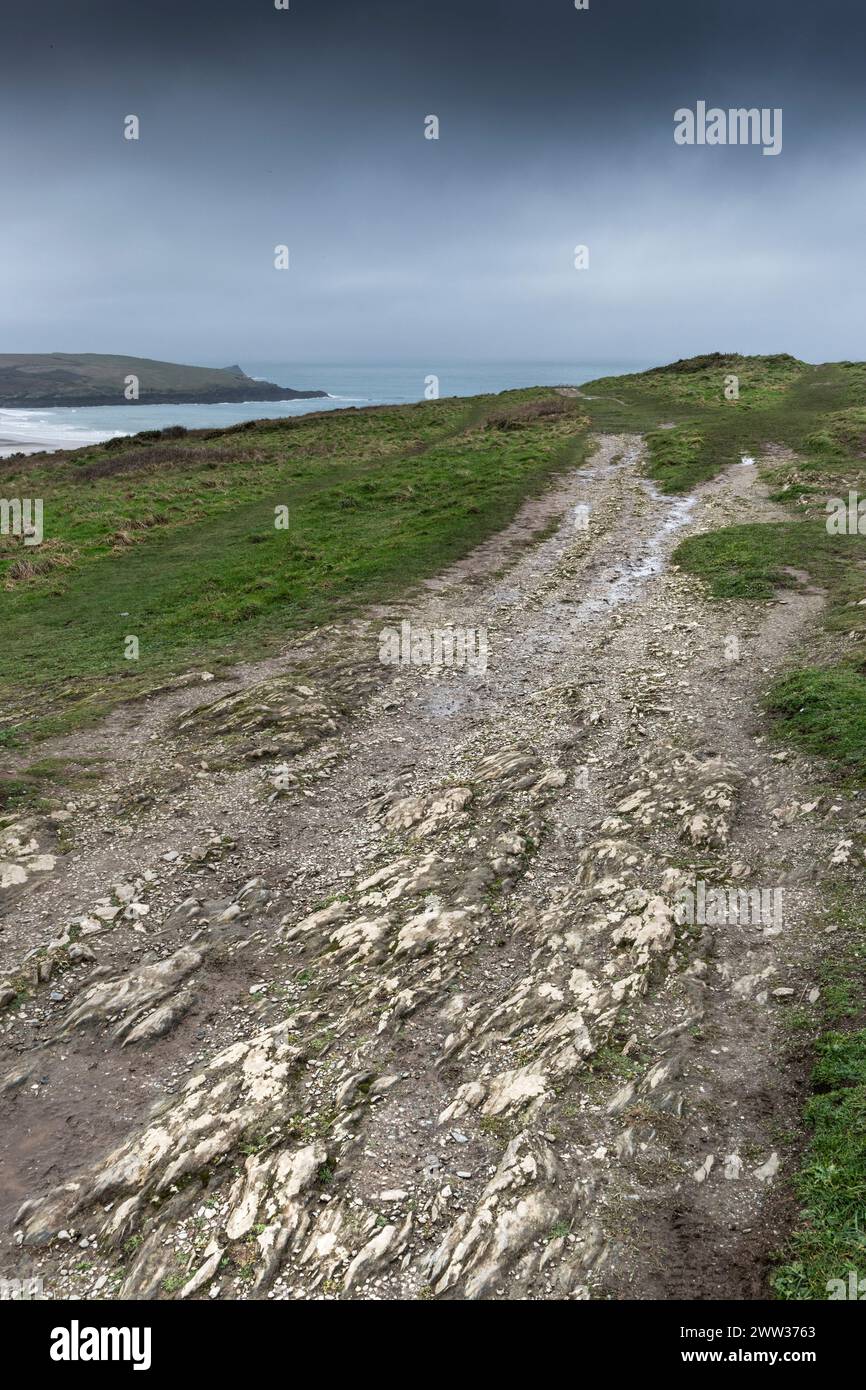 Bedrock exposed by soil erosion caused by walkers on Pentire Point East ...
