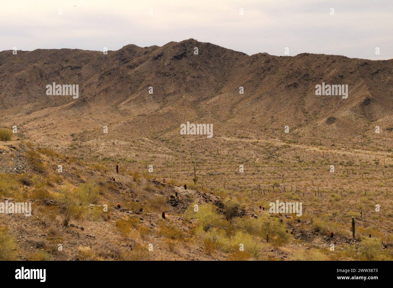 Untouched beauty of the desert hi-res stock photography and images - Alamy