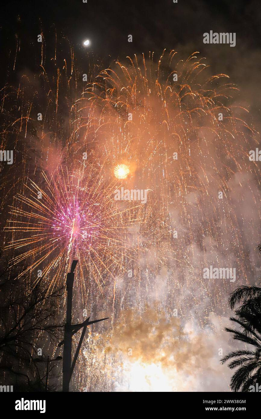 The beautiful fireworks of different colors and shapes exploding in the ...