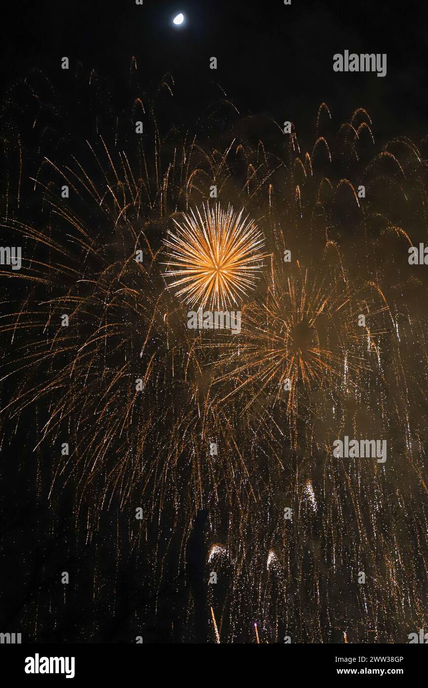 The beautiful fireworks of different colors and shapes exploding in the ...