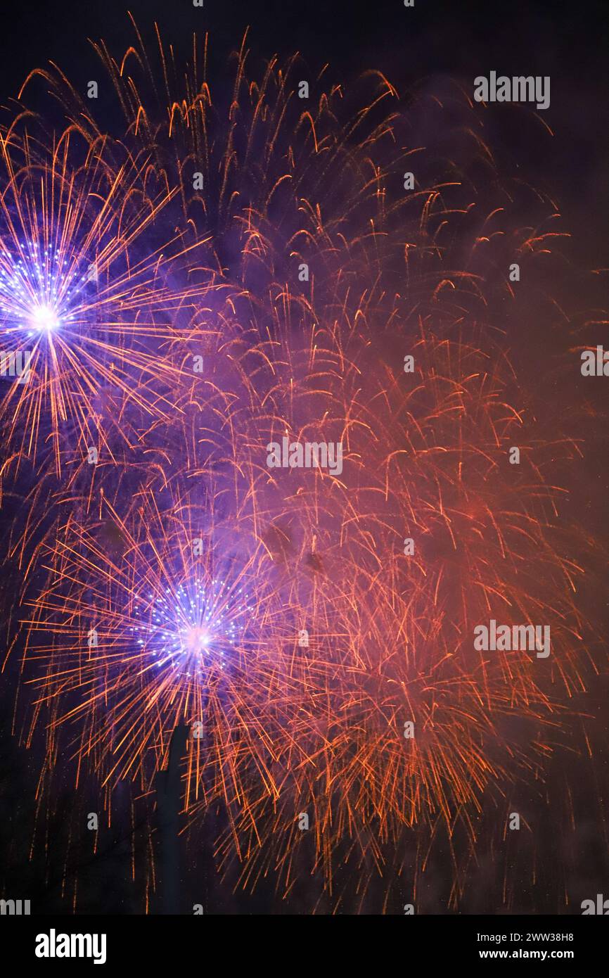 The beautiful fireworks of different colors and shapes exploding in the ...