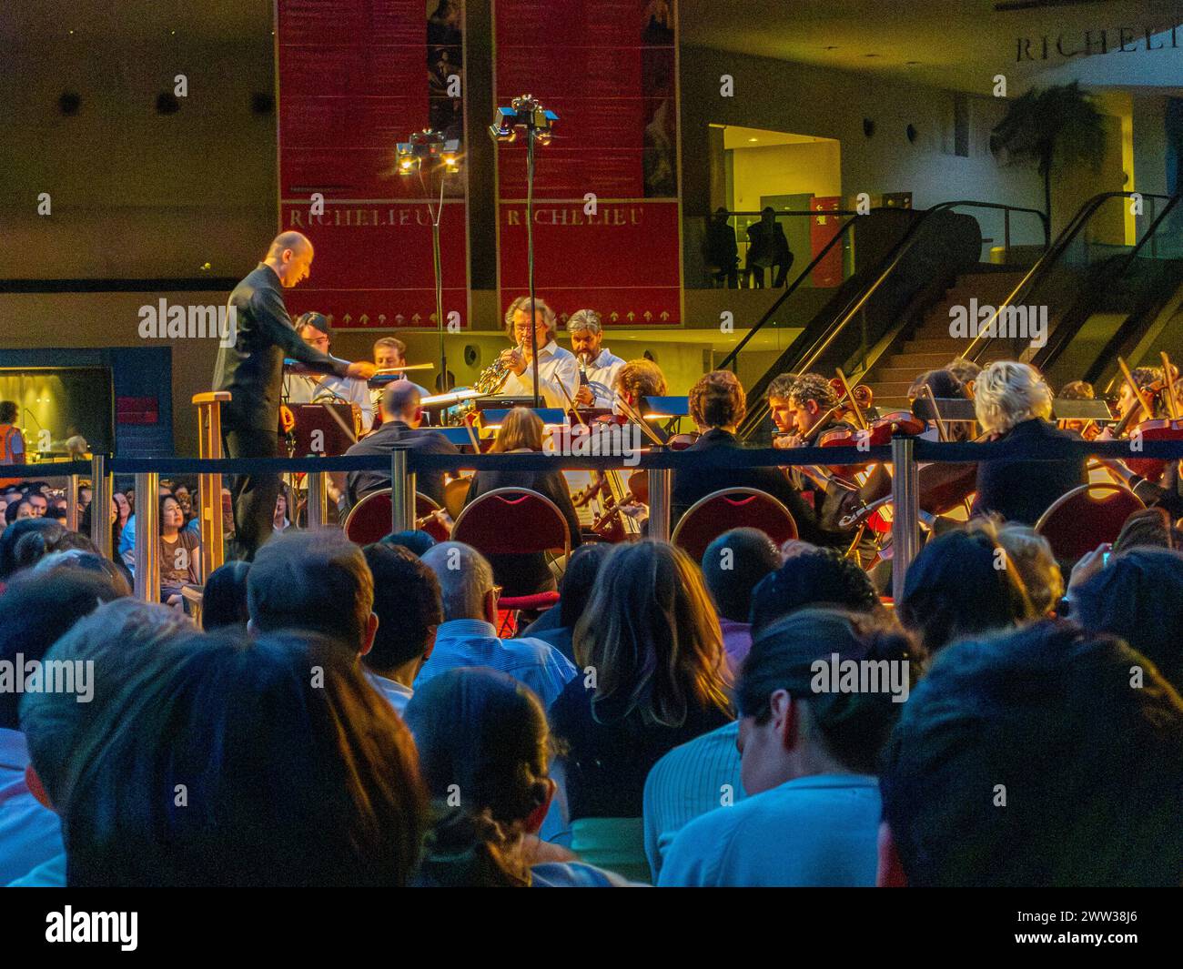 Paris, France, Large Crowd of People, Audience from behind, Enjoying ...
