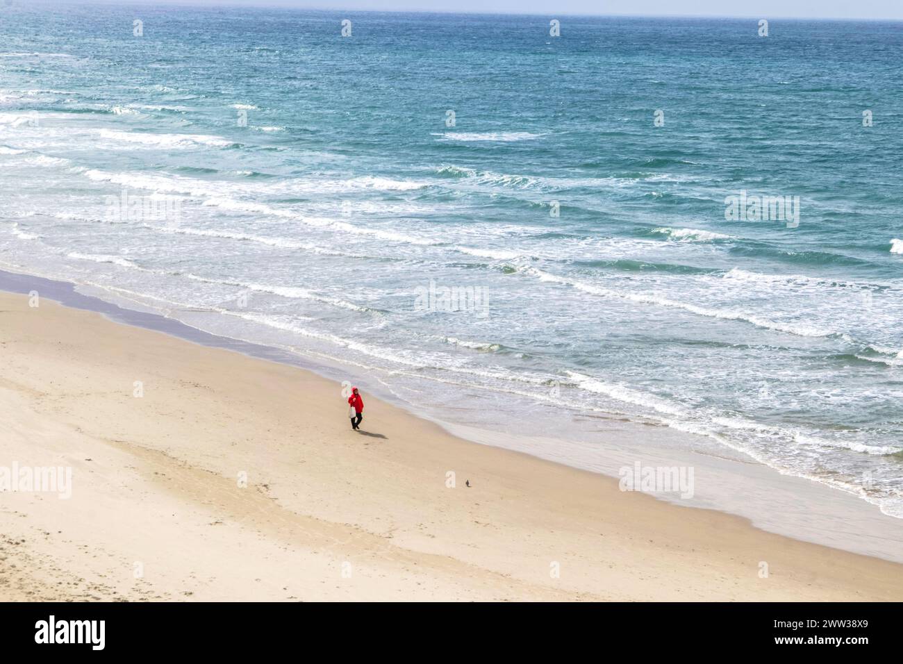 Man Walks the Sandy Shore Stock Photo - Alamy