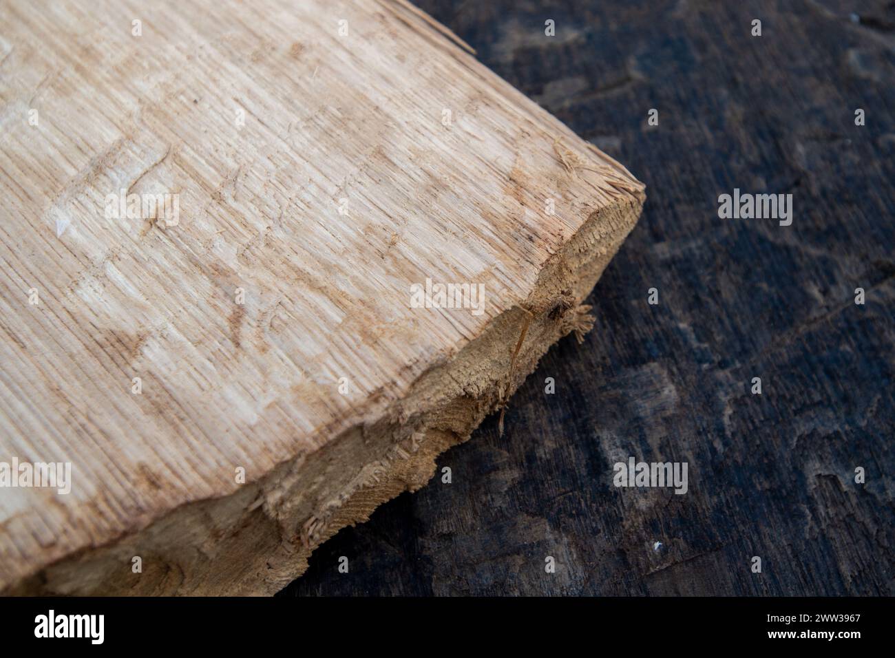 Vsestary, Czech Republic. 21st Mar, 2024. A showing of the construction ...