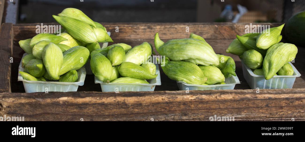 View of caigua sold at market in France Stock Photo - Alamy