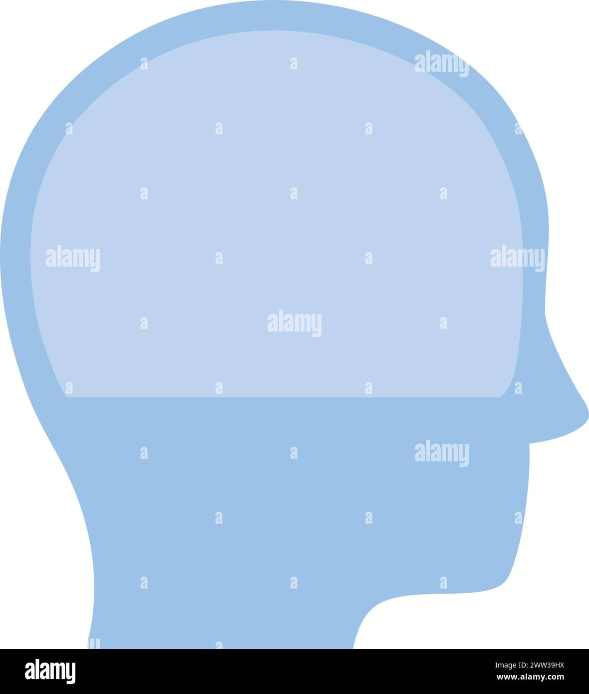 Human head silhouette blank template. Brain model isolated on white ...