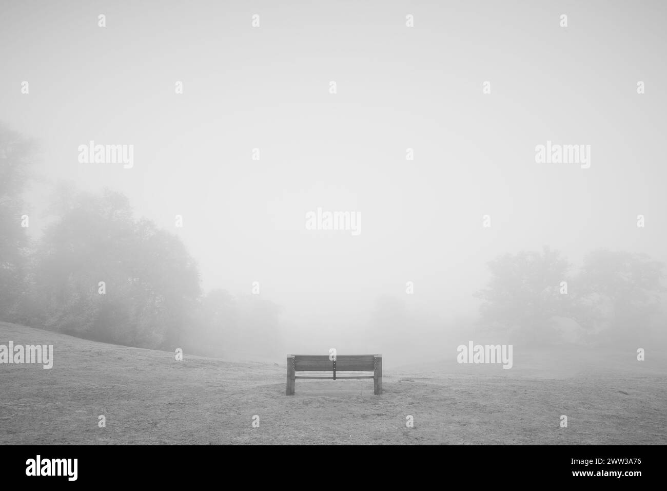 Wooden bench in dawn hi-res stock photography and images - Alamy