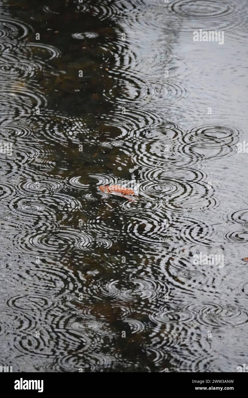 Rainy march hi-res stock photography and images - Alamy