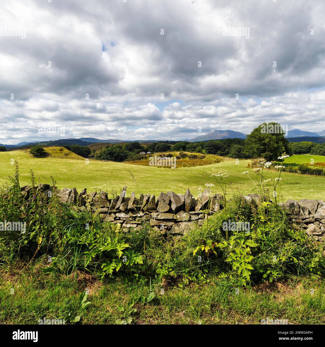 Typical north wales view hi-res stock photography and images - Alamy