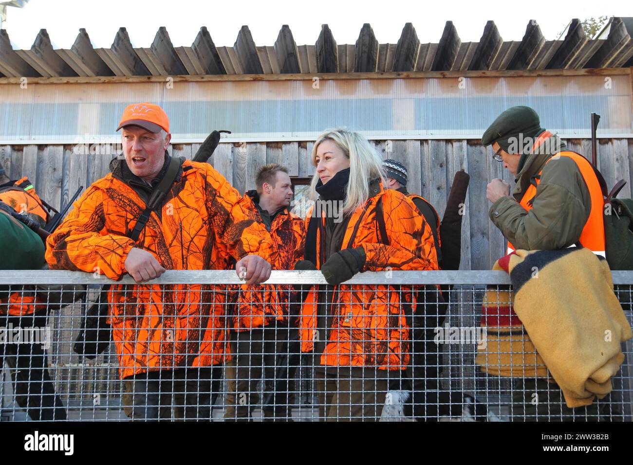 Wild boar (Sus scrofa) start of hunt, hunter and huntress in high ...