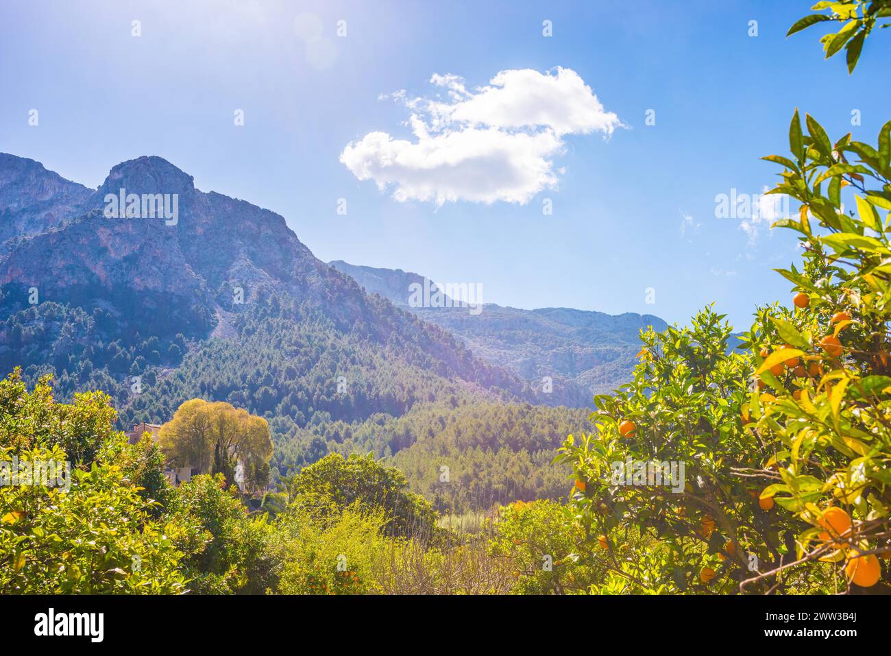 Sunny day in the mountains with blue sky and few white clouds, lush ...