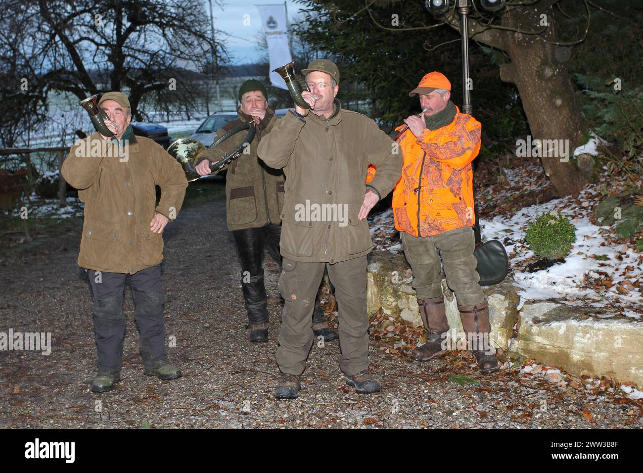 Wild boar (Sus scrofa) end of hunt, hunting horn blowers blow signal ...