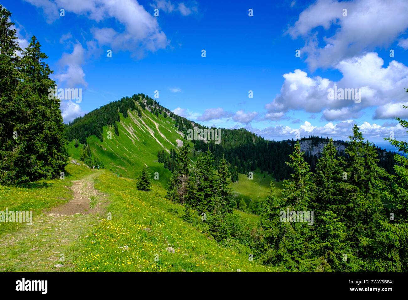 Am Stuempfling, Spitzingsee area, Bavarian local mountains, Alps, Upper ...