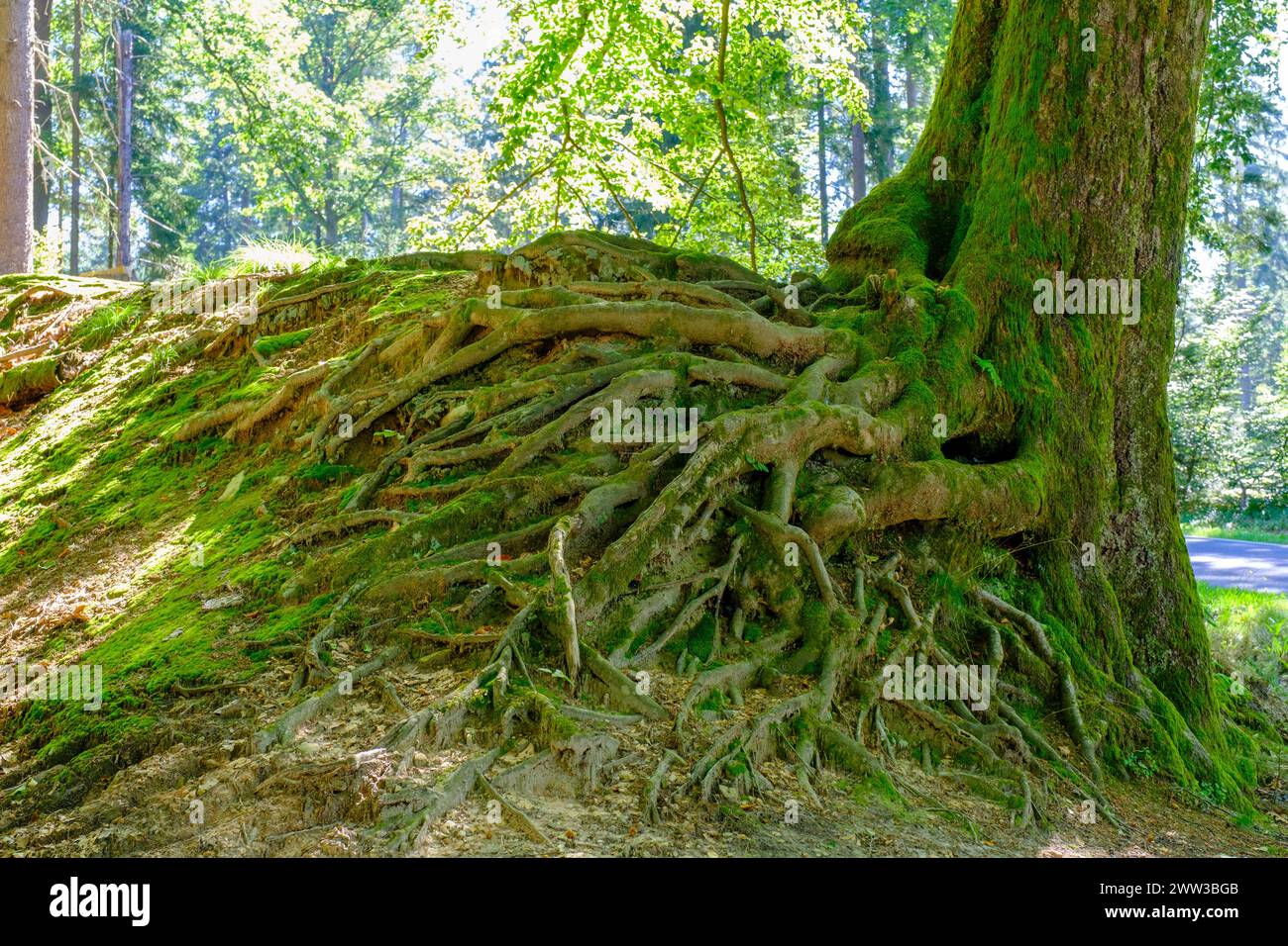 Mighty waters hi-res stock photography and images - Alamy