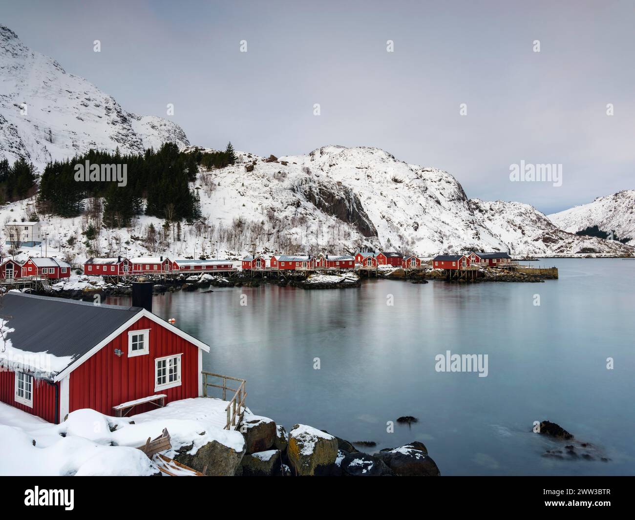 Traditional red rorbu houses on stilts in the authentic fishing village ...