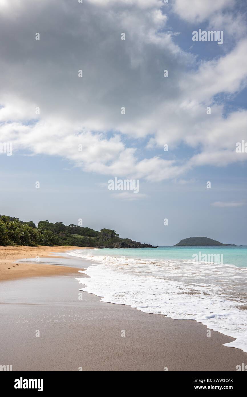 Lonely, wide sandy beach with turquoise-coloured sea. Tropical plants ...