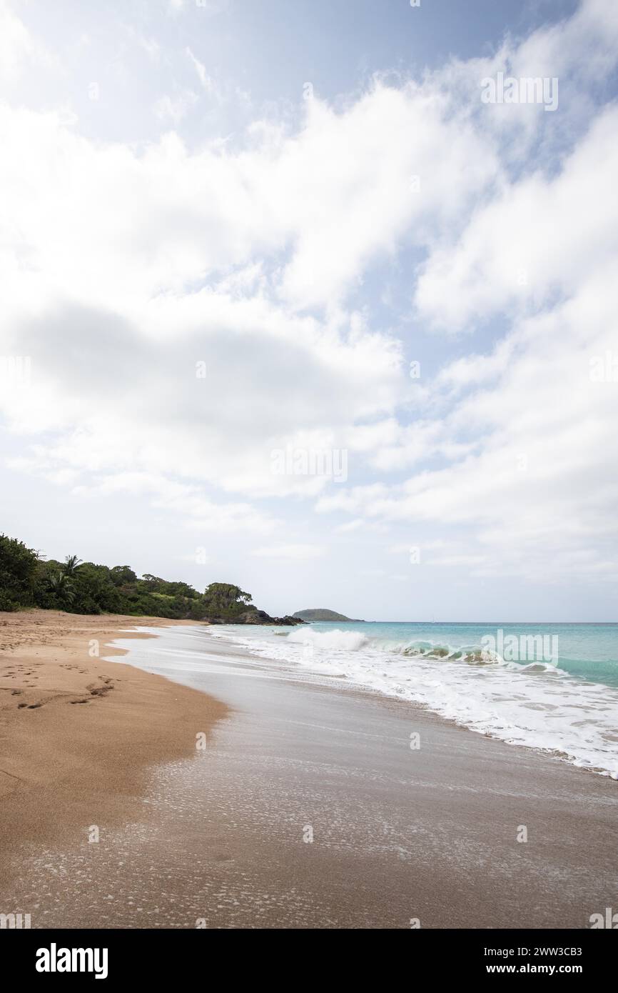Lonely, wide sandy beach with turquoise-coloured sea. Tropical plants ...
