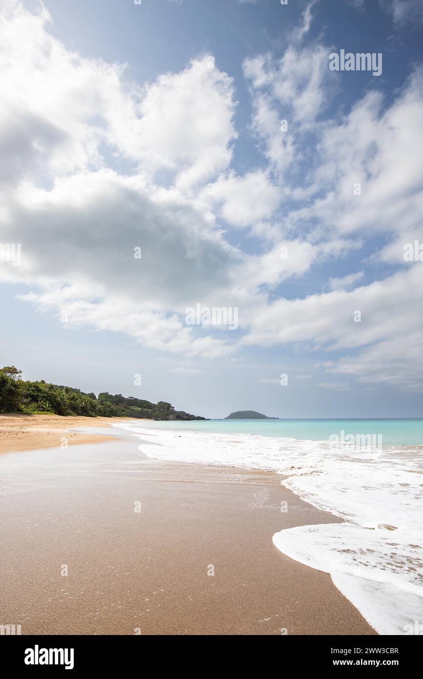 Lonely, wide sandy beach with turquoise-coloured sea. Tropical plants ...