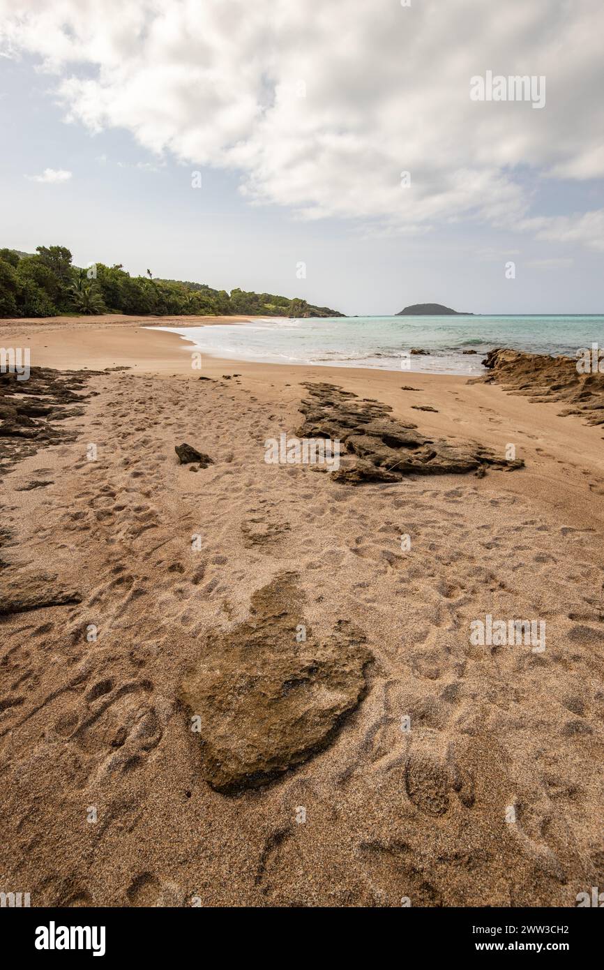 Lonely, wide sandy beach with turquoise-coloured sea. Tropical plants ...