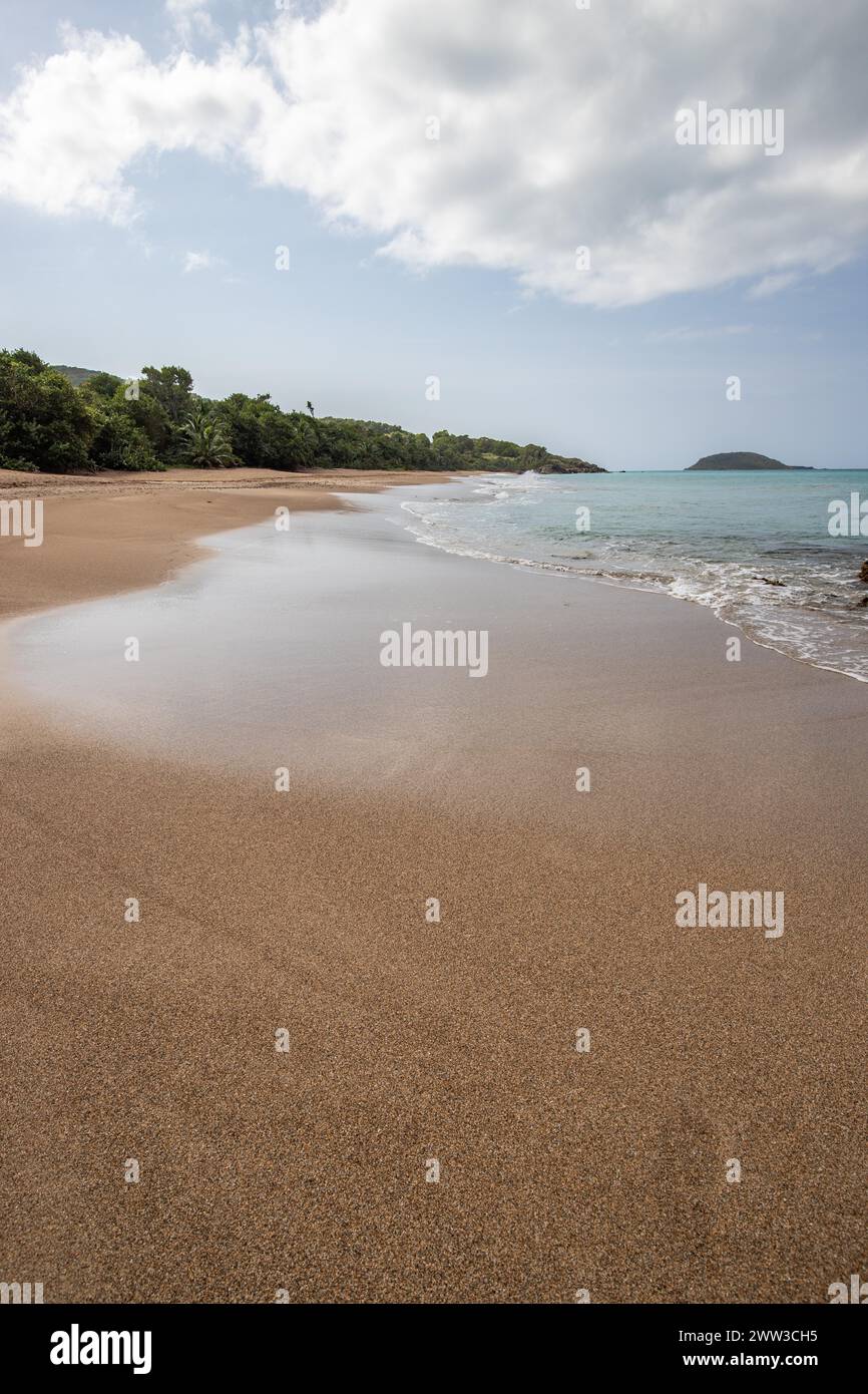 Lonely, wide sandy beach with turquoise-coloured sea. Tropical plants ...
