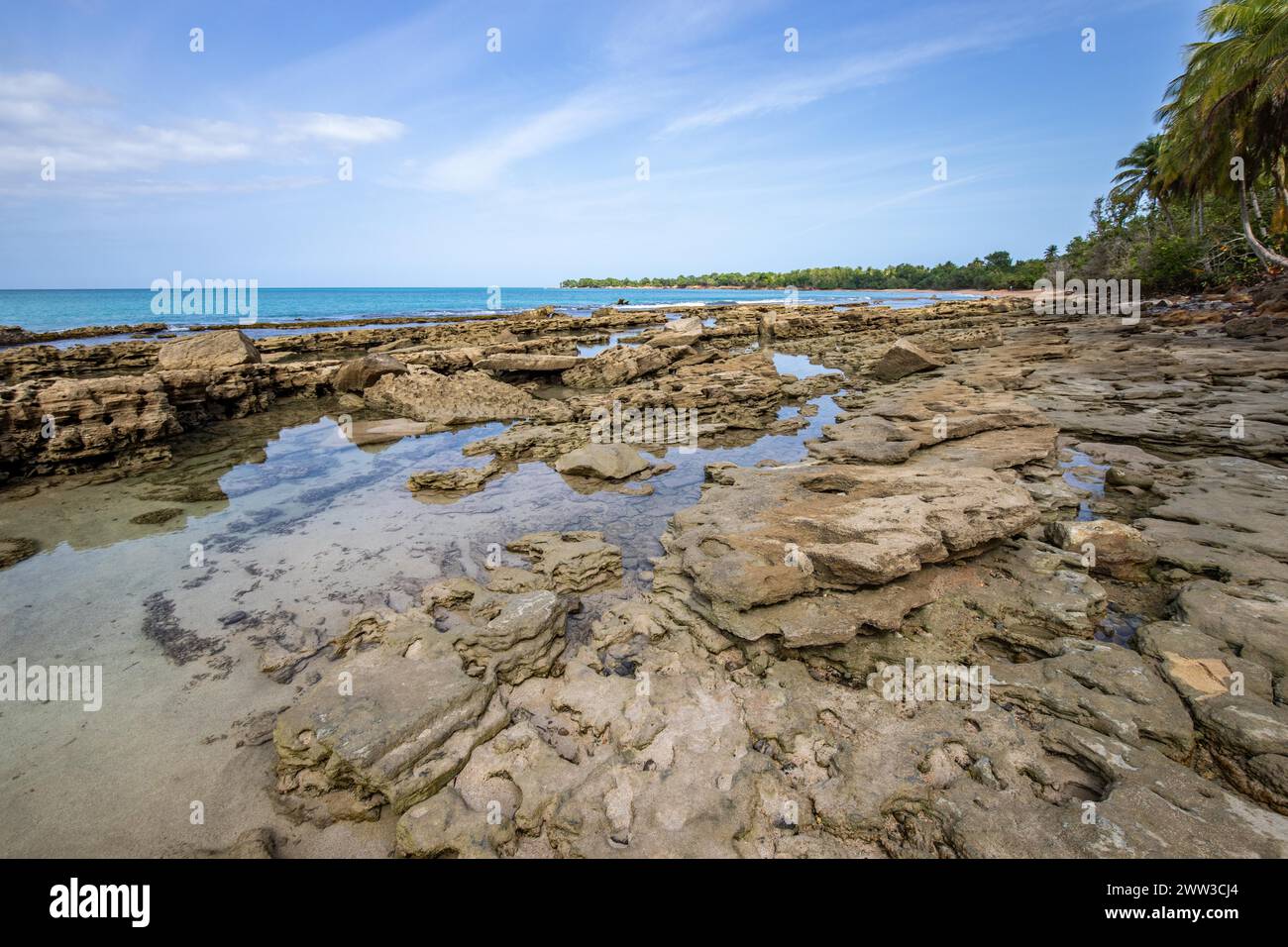 Lonely, wide sandy beach with turquoise-coloured sea. Tropical plants in a bay in the Caribbean ...