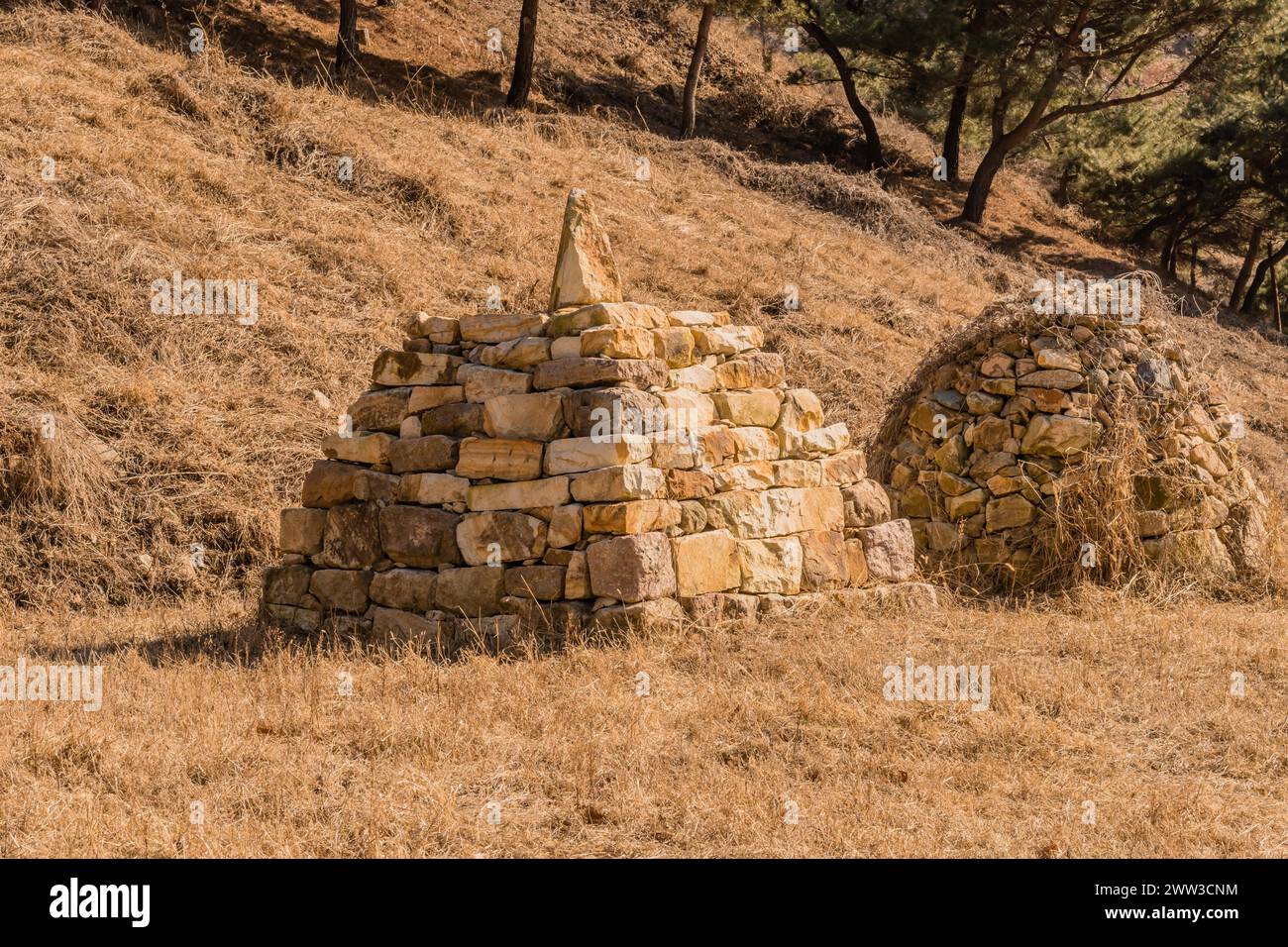 Grass structures hi-res stock photography and images - Alamy