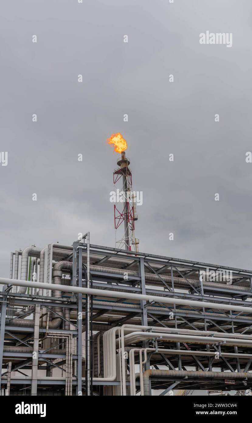 Fire atop a flare stack within a sprawling industrial facility under an ...