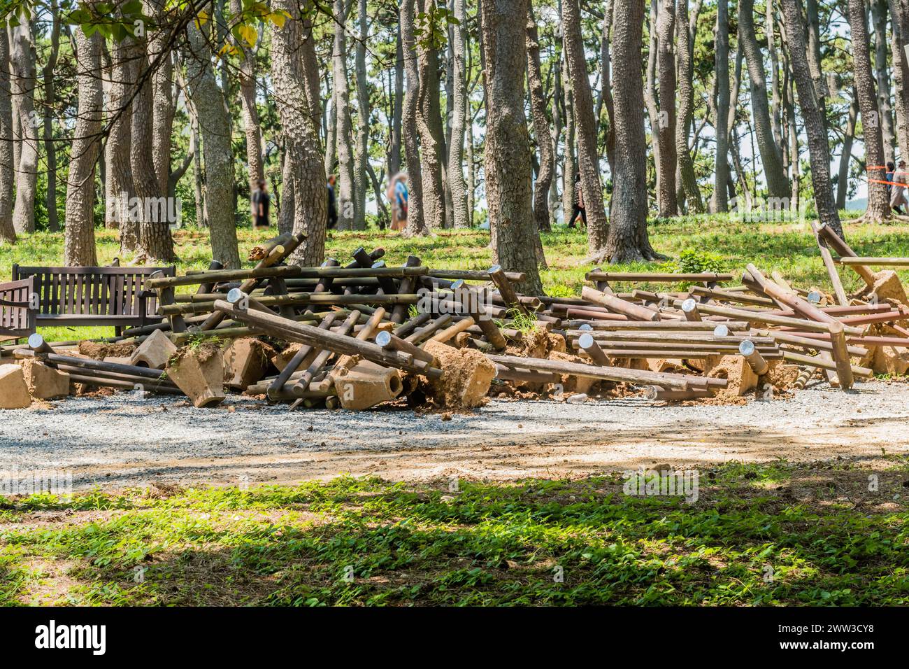 A pile of dismantled wooden logs and debris in a forest setting, in ...