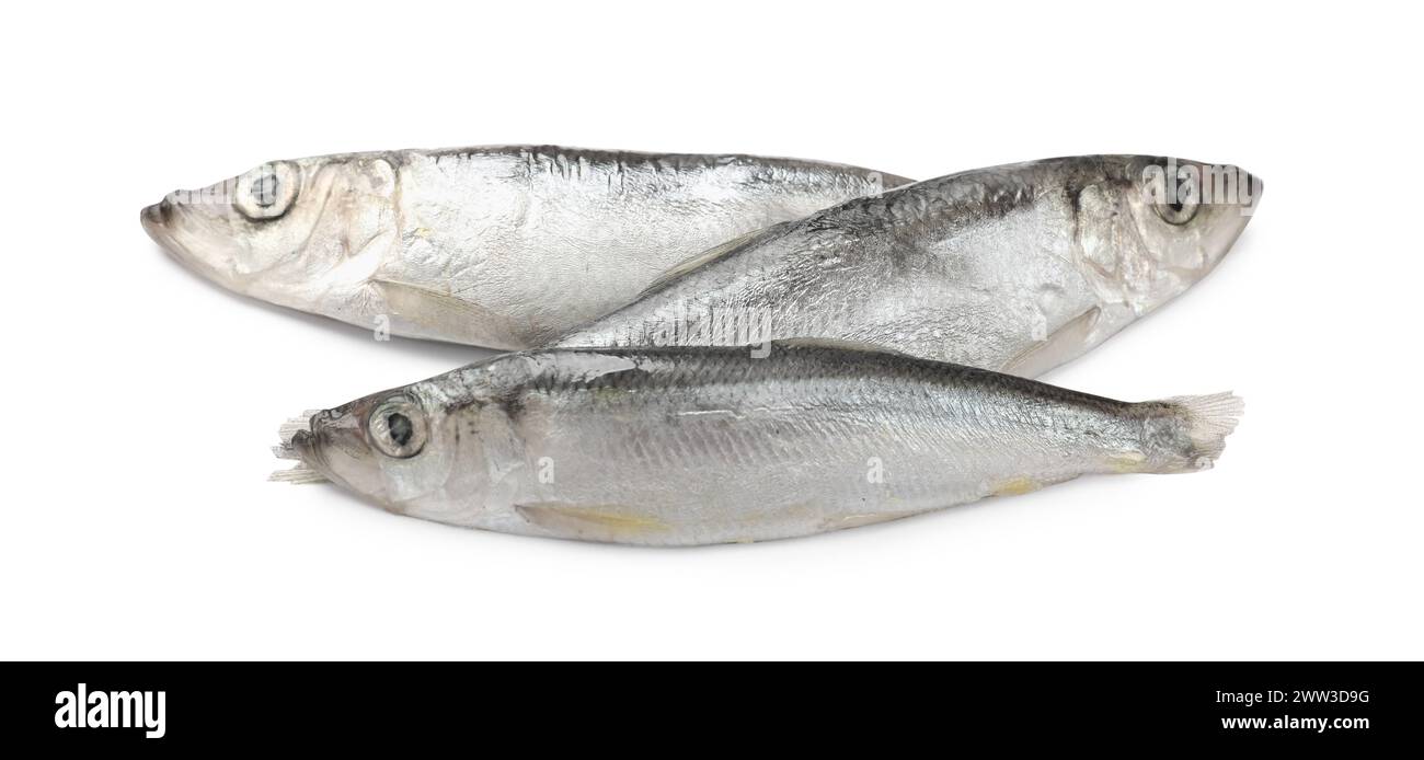 Fresh sea fish anchovies Cut Out Stock Images & Pictures - Alamy