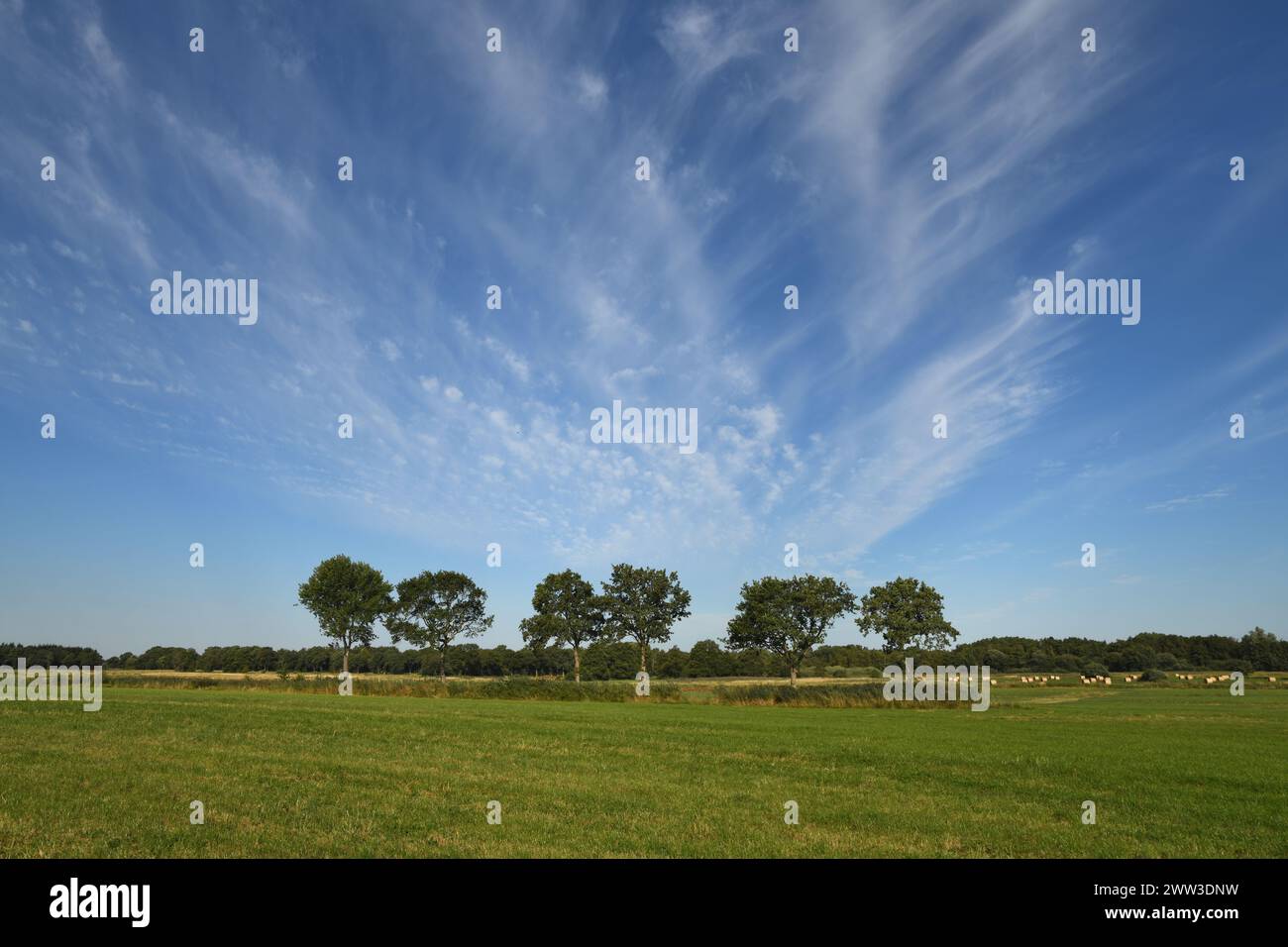 Friesische aussicht hi-res stock photography and images - Alamy