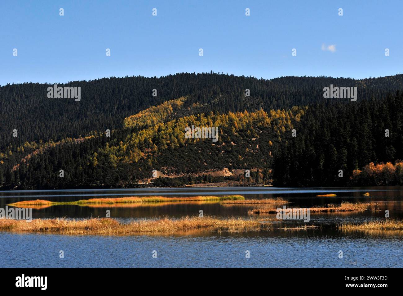 Potatso National Park, china Stock Photo - Alamy