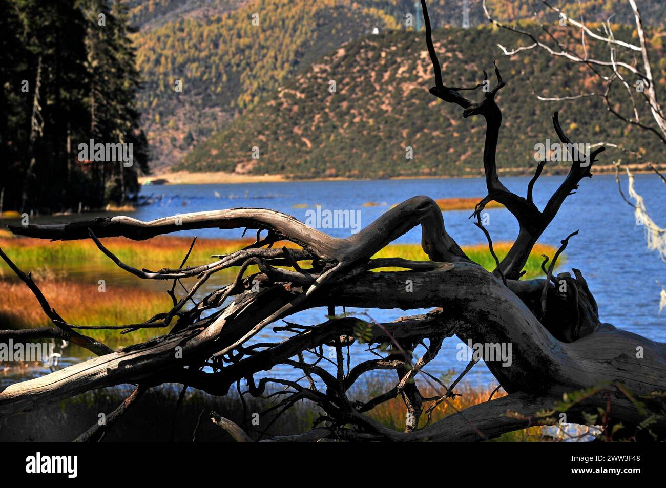 Potatso hi-res stock photography and images - Alamy