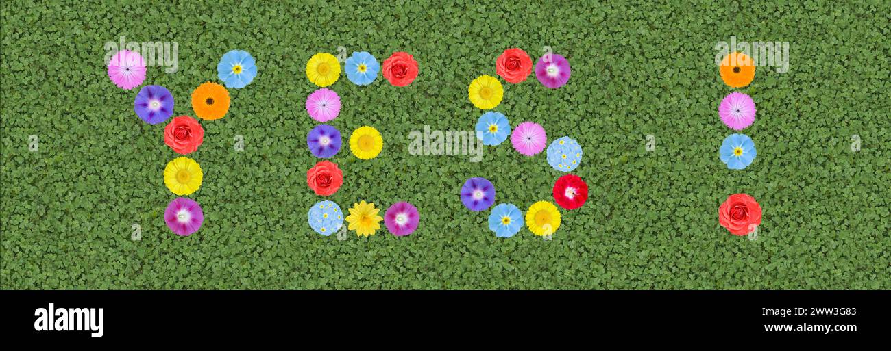 Saying yes written with different colourful flowers Stock Photo - Alamy