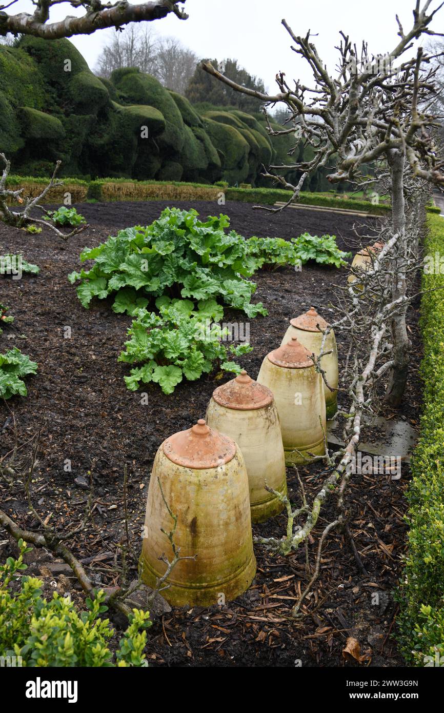 Preparing the veg patch hi-res stock photography and images - Alamy