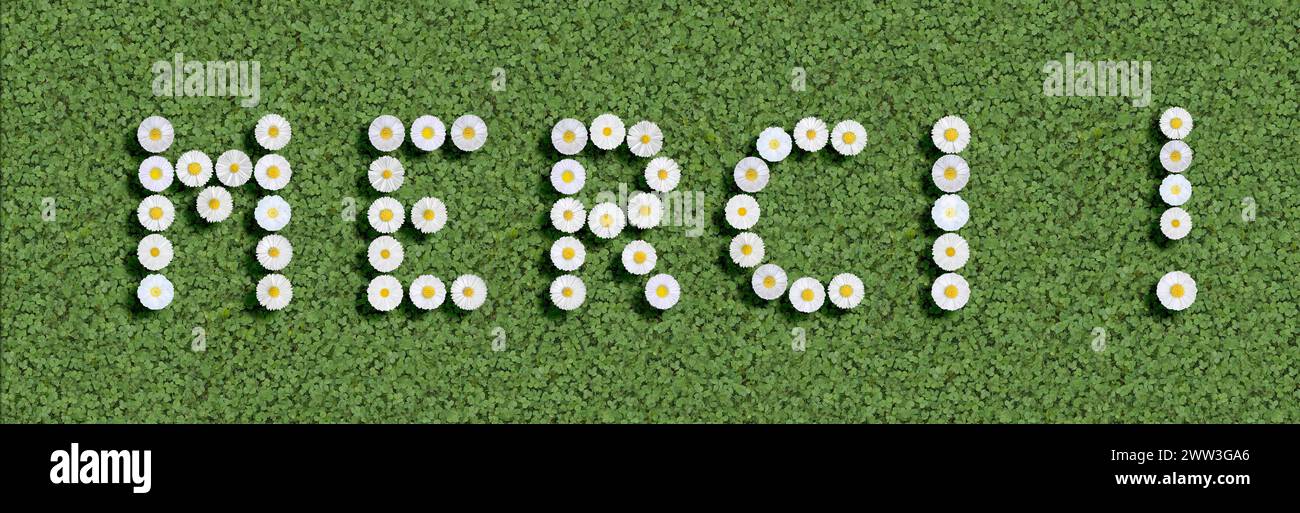 Merci Thanks Thank you in french language written with flowers Stock ...