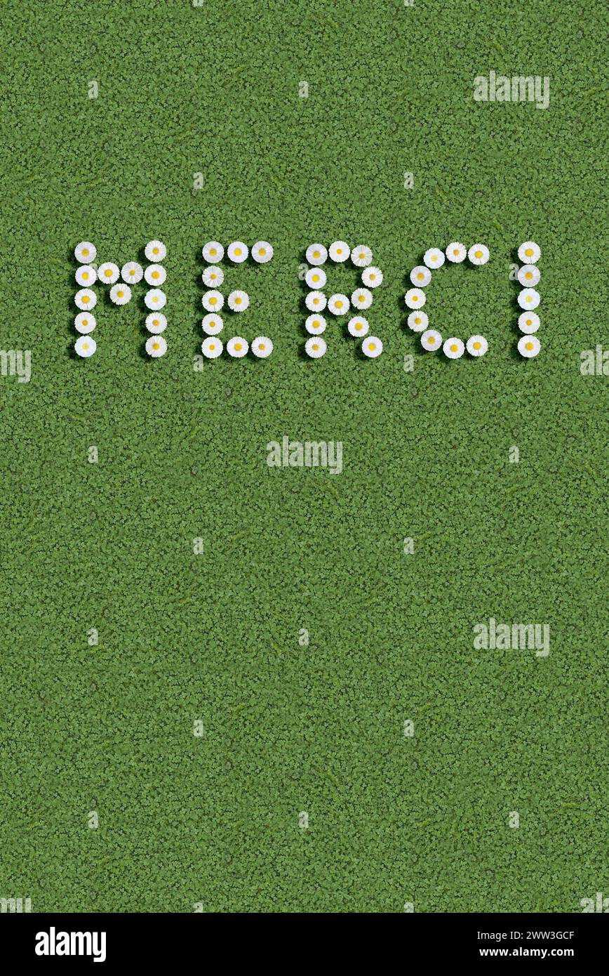 Merci Thanks Thank you in french language written with flowers Stock ...